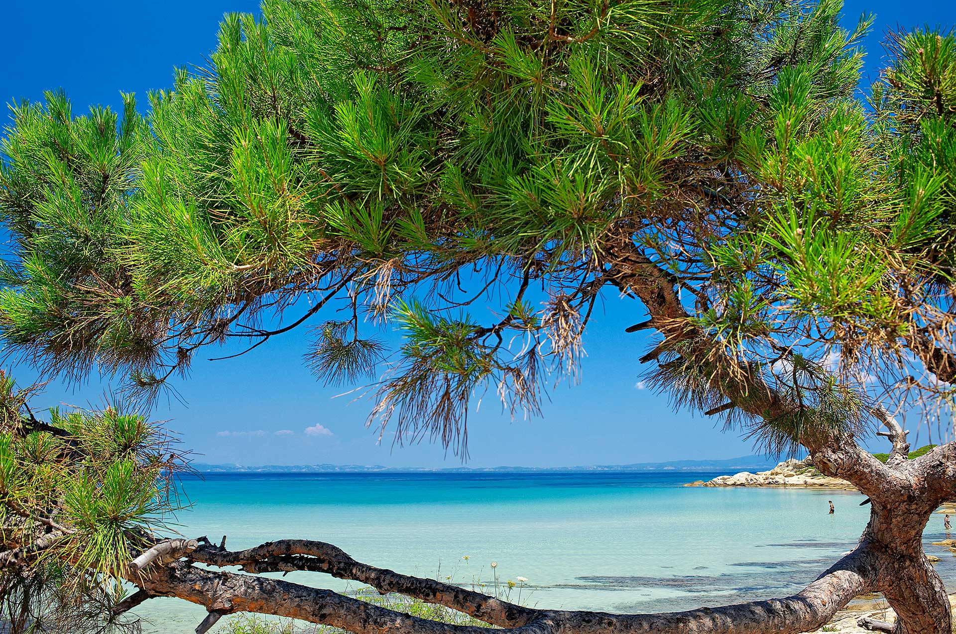 Παραλίες Κασσάνδρας - Halkidiki Hotels Association